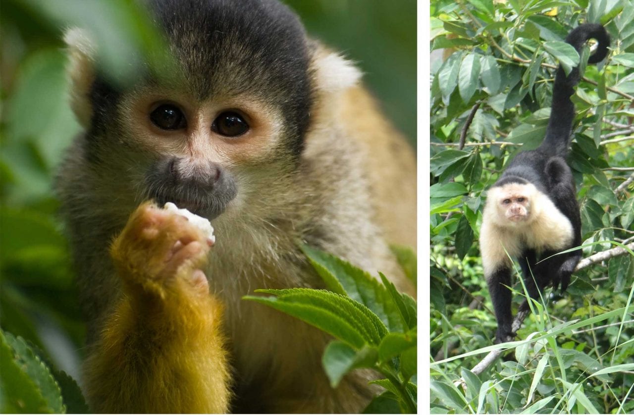 Biodiversity Paradise - Xplore Panama